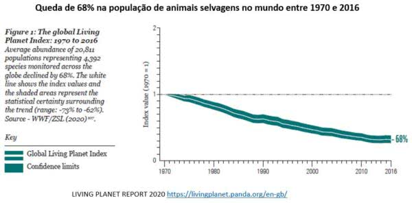 Ecocídio, entenda o que é e suas consequências