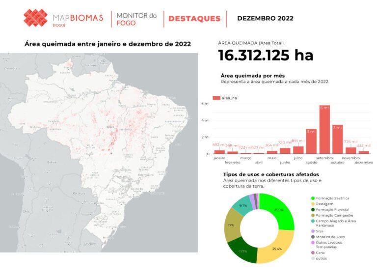 Área queimada no Brasil, em 2022, supera 16 milhões de hectares