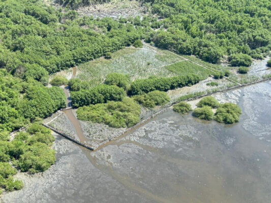 Fauna nativa volta ao Aterro Metropolitano de Jardim Gramacho